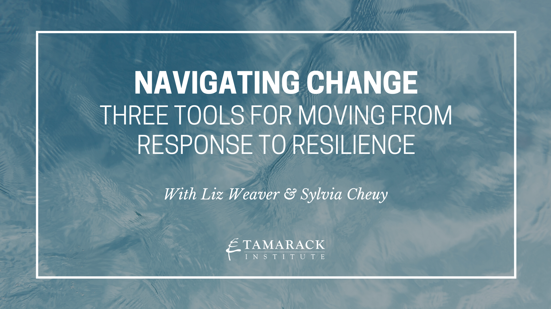 WEBINAR | Navigating Change WEBINAR | Navigating Change